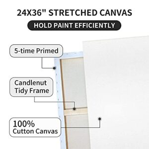 Pre Stretched Canvases for Painting 24x36" 2 Pack Large Blank Canvas Boards for Acrylic Pouring and Oil Painting, 100% Cotton, 5-Time Gesso Primed