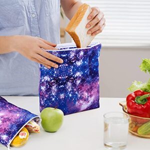 5 Pieces Reusable Sandwich and Snack Bags Safe, Snack Bags with Zipper for Store Preserves, Snacks and Sandwiches, with 2 Large 2 Medium and 1 Small Bags (Galaxy Loop Pattern)