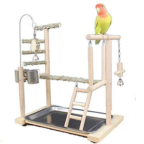 Bird Playground Birdcage Playstand Parrot Play Gym Parakeet Cage Decor Budgie Perch Stand with Feeder Seed Cups Ladder Hanging Swing Chew Toys Parakeets Conures Macaw Cockatiel Finch