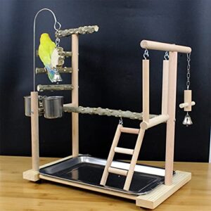 Bird Playground Birdcage Playstand Parrot Play Gym Parakeet Cage Decor Budgie Perch Stand with Feeder Seed Cups Ladder Hanging Swing Chew Toys Parakeets Conures Macaw Cockatiel Finch