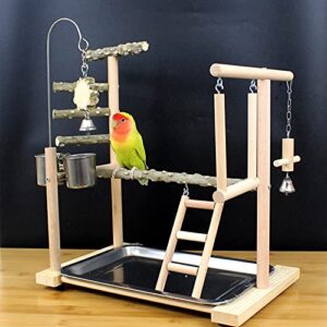 Bird Playground Birdcage Playstand Parrot Play Gym Parakeet Cage Decor Budgie Perch Stand with Feeder Seed Cups Ladder Hanging Swing Chew Toys Parakeets Conures Macaw Cockatiel Finch