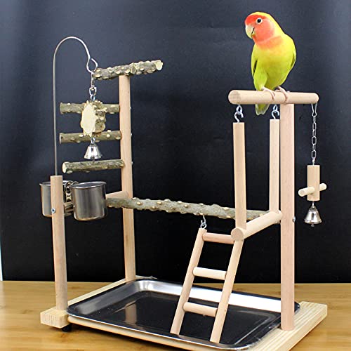 Bird Playground Birdcage Playstand Parrot Play Gym Parakeet Cage Decor Budgie Perch Stand with Feeder Seed Cups Ladder Hanging Swing Chew Toys Parakeets Conures Macaw Cockatiel Finch