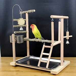 Bird Playground Birdcage Playstand Parrot Play Gym Parakeet Cage Decor Budgie Perch Stand with Feeder Seed Cups Ladder Hanging Swing Chew Toys Parakeets Conures Macaw Cockatiel Finch