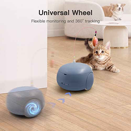 Pet Camera Robot, Cat Dog Treat Dispenser, Pumpkii Home Robot with App Remote Control, 2 Way Audio, 1080P HD Mobile Camera with Night Vision, Interactive Replaceable Cat Teaser