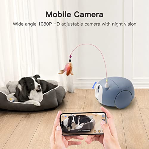 Pet Camera Robot, Cat Dog Treat Dispenser, Pumpkii Home Robot with App Remote Control, 2 Way Audio, 1080P HD Mobile Camera with Night Vision, Interactive Replaceable Cat Teaser