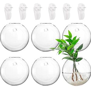 yarlung Set of 6 Wall Hanging Planters Terrarium, Glass Oblate Globe Plants Containers Wall Mount Flower Vase for Propagating Hydroponics Plants, Air Plants (Plants Not Included)