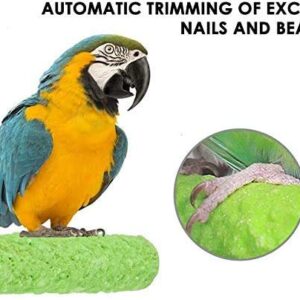 Bird Rope for Parrots,2 PCS Bird Perch Stand,Bungee Bird Toys Bird Cage Accessories for Bird Swinging, Climbing,Standing(3PCS)