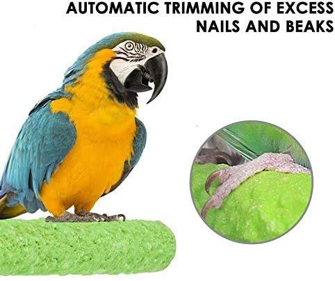 Bird Rope for Parrots,2 PCS Bird Perch Stand,Bungee Bird Toys Bird Cage Accessories for Bird Swinging, Climbing,Standing(3PCS)