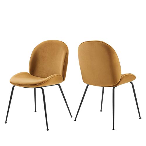 Modway Scoop Performance Velvet Dining Chairs-Set of Two in Cognac with Black Metal Legs