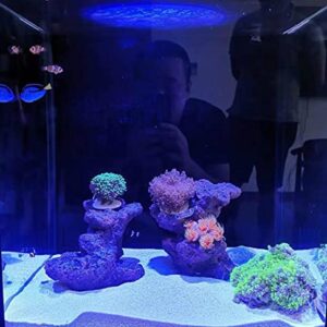 Aquarium Choice Big Size Ceramic Coralline Coral Frag Plugs Coral frag Plate Base