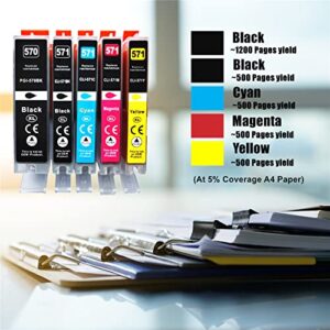 ColorInk 10pack Replacement for Canon PGI-570 CLI-571 Ink Cartridge use with Canon PIXMA MG5750 MG5751 MG5752 MG5753 MG6850 (2 570XL Black, 2 571XL Black,2 Cyan, 2 Magenta, 2 Yellow)