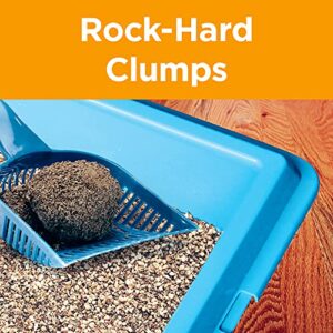 Arm & Hammer Clump & Seal AbsorbX Lightweight Quick Absorbing Scented Multi-Cat Clumping Cat Litter, 18 lb, Small