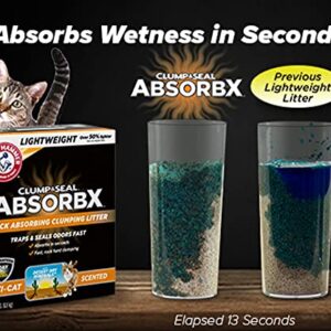 Arm & Hammer Clump & Seal AbsorbX Lightweight Quick Absorbing Scented Multi-Cat Clumping Cat Litter, 18 lb, Small