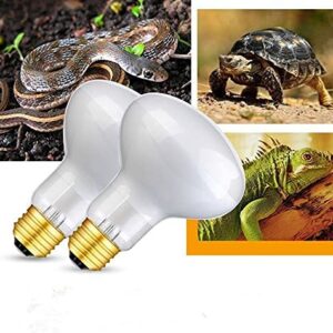 Qixivcom 2-Packs 50W Reptile Heat Lamp Basking Bulb E26/E27 110V UVA Basking Spot Daylight Heat Lamp Glass Heating Lamp Reptile Heater for Bearded Dargon Turtle Aquarium Aquatic Lizard Chicken Coop