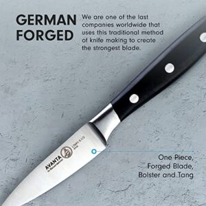 Messermeister Avanta 3.5” Spear Point Paring Knife - German X50 Stainless Steel - Rust Resistant & Easy to Maintain