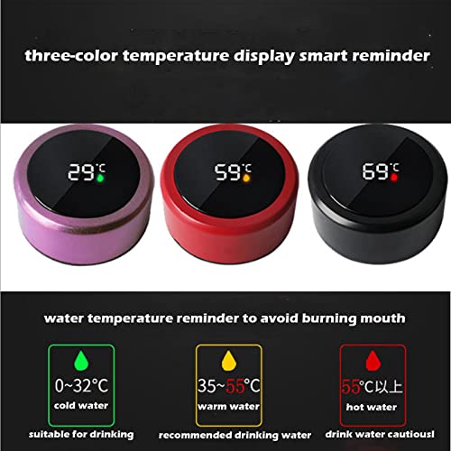 Smart Water Bottle with LED Temperature Display,Tea Infuser Bottle,Travel Coffee Mug,17oz/500ml Insulated Water Bottle,Flask for hot and cold drinks