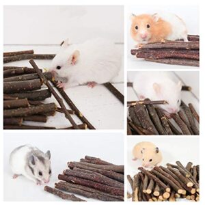 Changeary 150g and 300g Natural Apple Sticks Small Animals Treats Toys, Rabbit Hamster Guinea Pigs Toys Chinchilla Squirrel Bunny Chew Toys(150g)