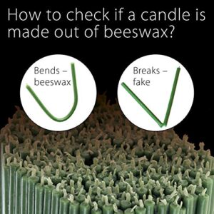 Danilovo Pure Beeswax Candles - No-Drip, Smoke-Less, Tall, Thin Taper Candles – Decorative Candles for Church Prayer, Decor or Birthday Candles – Honey Scented Candles – 6.4”x0.22” (Green, 50pcs)