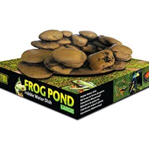 Exo Terra Frog Pond, Amphibian Terrarium Water Source, Large