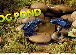 Exo Terra Frog Pond, Amphibian Terrarium Water Source, Large