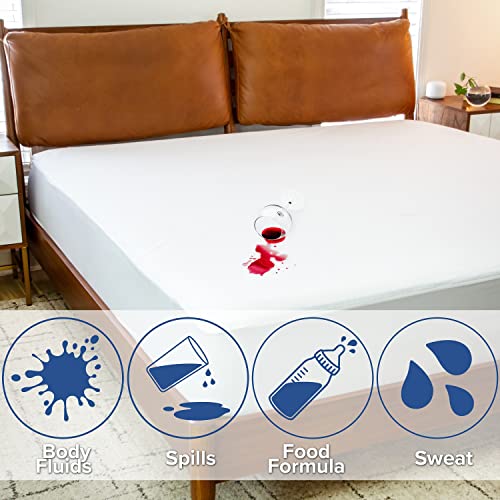 Flash Furniture Capri Comfortable Sleep Premium Fitted Waterproof, Vinyl Free Mattress Protector - Comfortable, Breathable, Quiet, Quilted Fabric Protection - Twin White