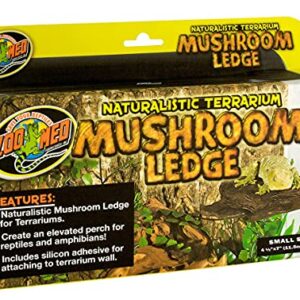 DBDPet Naturalistic Mushroom Ledge (Small) - Includes Attached Pro-Tip Guide - Great for Crested Geckos, Leachies, Day Geckos, Anoles, and More!