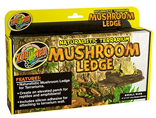 DBDPet Naturalistic Mushroom Ledge (Small) - Includes Attached Pro-Tip Guide - Great for Crested Geckos, Leachies, Day Geckos, Anoles, and More!