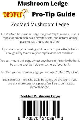 DBDPet Naturalistic Mushroom Ledge (Small) - Includes Attached Pro-Tip Guide - Great for Crested Geckos, Leachies, Day Geckos, Anoles, and More!