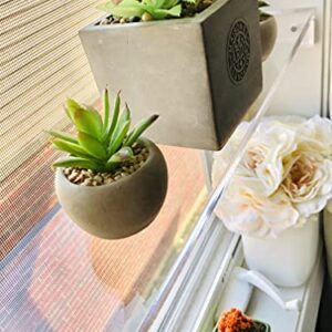 Elegant and Sophisticated Floating Window Shelf (21", Single Shelf) - Crystal Clear Recessed Durable Strong Acrylic Trinket, Plants, Succulents Indoor Collection Display Stand Trendy Modern Boho Chic