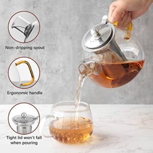 Glass Teapots for Stove Top (40oz/1200ml) Thicken Tea Pots for Loose Tea with Basket Infusers, Glass Tea Kettle Ideal Tea Sets for Women Tea Maker Gift