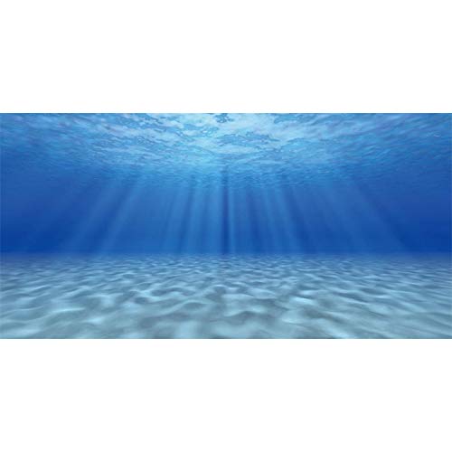 AWERT 24x16 inches Undersea Theme Ocean Floor Aquarium Background Fish Tank Background Polyester Background