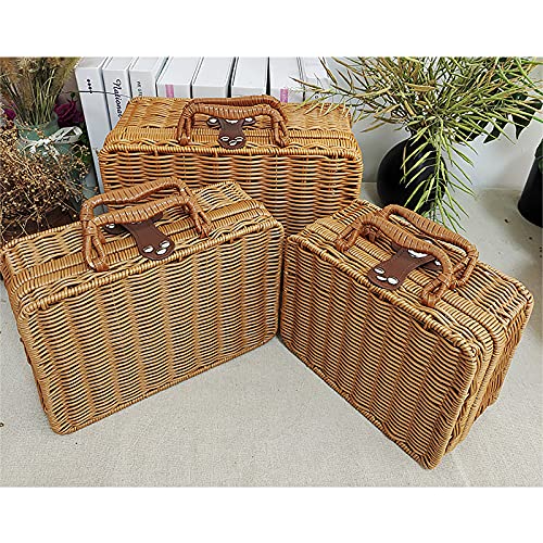 Flueyer Rattan Suitcase Basket, Wicker Storage Box with Handles, Willow Picnic Basket, Rattan Storage Box Travel Suitcase for Camping, Outdoor, Indoor, Home Decor