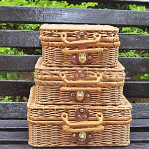 Flueyer Rattan Suitcase Basket, Wicker Storage Box with Handles, Willow Picnic Basket, Rattan Storage Box Travel Suitcase for Camping, Outdoor, Indoor, Home Decor