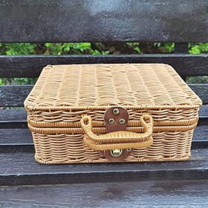 Flueyer Rattan Suitcase Basket, Wicker Storage Box with Handles, Willow Picnic Basket, Rattan Storage Box Travel Suitcase for Camping, Outdoor, Indoor, Home Decor