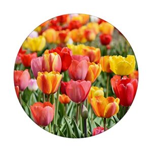 Tulip Flowers PopSockets PopGrip: Swappable Grip for Phones & Tablets