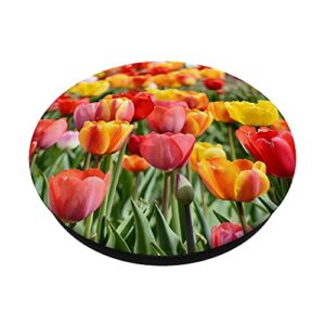 Tulip Flowers PopSockets PopGrip: Swappable Grip for Phones & Tablets