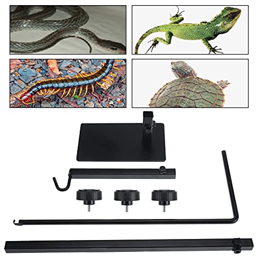 XMSound Reptile lamp Stand ,Adjustable Floor Light Holder Stand Bracket Metal Lamp Support for Reptile Glass Terrarium Heating Light, for Cold-Blooded Animals Like Amphibians and Lizards, Turtles