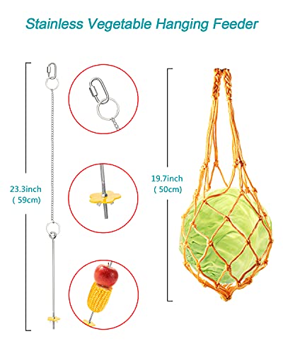 Woiworco 5 Packs Chicken Toys, Chicken Xylophone Toy for hens, Chicken Mirror Toys, Chicken Ladders Swing Toys and Vegetable Hanging Feeder Chicken Coop Accessories