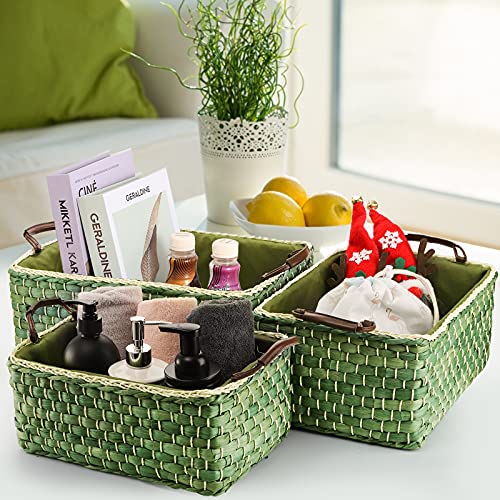 Peohud Set of 3 Woven Storage Baskets, Maize Straw Organizer Bins with Handle, Handwoven Basket Set for Organizing Bedroom, Living room, Laundry Room, Kitchen or Office, Green