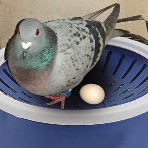 balacoo 5pcs Pigeon Nest Plastic Bird Nesting Bowl Pigeon Breeding Hatching Nest Bed for Pigeons Quails Small Birds