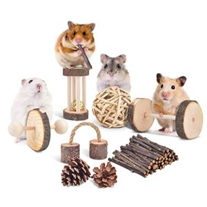 ERKOON 11 Pack Chinchillas Chew Toys, Toys Accessories for Teeth Care, Natural Apple Wood Ladder Bell Roller for Russian Hamster Gerbils Rats Guinea Pigs