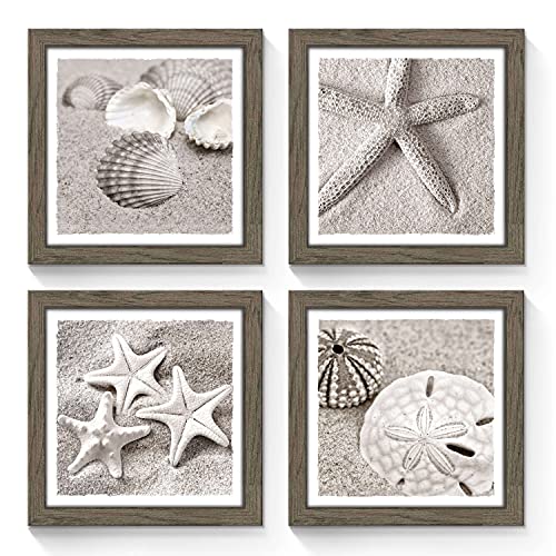 Framed Beach Gallery Wall Art: Starfish Seashell Conch Collection Pictures Prints Set of 4 Wall Decor for Bedroom (Multi-Style)