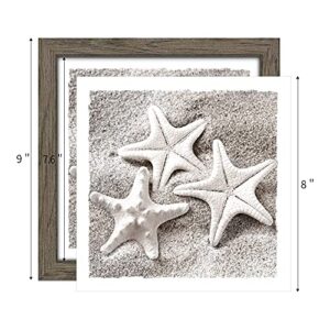 Framed Beach Gallery Wall Art: Starfish Seashell Conch Collection Pictures Prints Set of 4 Wall Decor for Bedroom (Multi-Style)