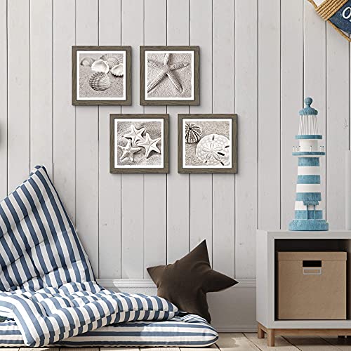 Framed Beach Gallery Wall Art: Starfish Seashell Conch Collection Pictures Prints Set of 4 Wall Decor for Bedroom (Multi-Style)