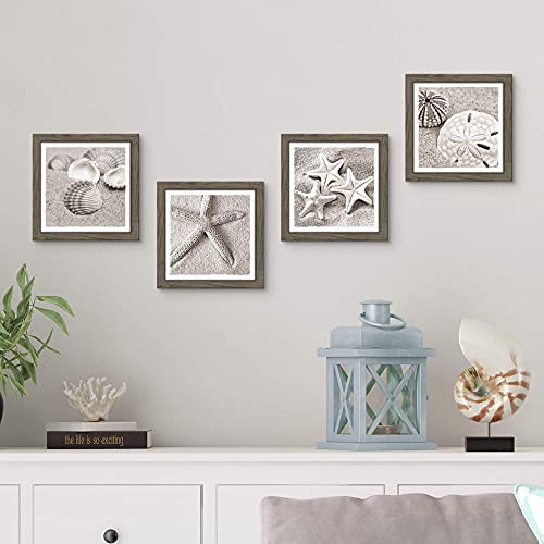 Framed Beach Gallery Wall Art: Starfish Seashell Conch Collection Pictures Prints Set of 4 Wall Decor for Bedroom (Multi-Style)