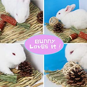 Rabbit Chew Toys for Teeth, Bunny Molar Toys, Small Animal Chew Molar Toys Natural Flower Timothy Grass Cake Pinecones and Corn Toy for Rabbits Chinchilla Hamsters Guinea Pigs Gerbils… (Style 1)