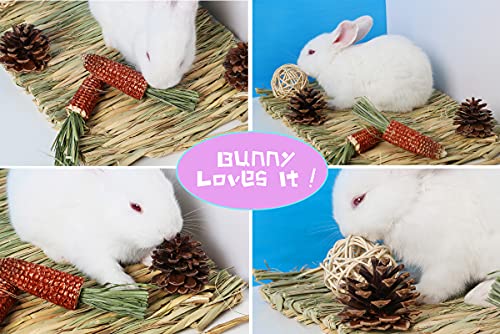 Rabbit Chew Toys for Teeth, Bunny Molar Toys, Small Animal Chew Molar Toys Natural Flower Timothy Grass Cake Pinecones and Corn Toy for Rabbits Chinchilla Hamsters Guinea Pigs Gerbils… (Style 1)