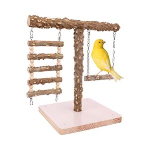 Bird Tabletop Training Perch Play Stand, Portable Parrot Swing Toys Wood Bird Cage Toys, Bird Perches Standing Sticks Exercise Gym Playground for Parakeets Cocktails Conures Lovebirds (T-B)