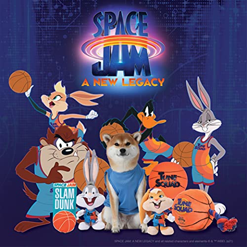 LOONEY TUNES Space Jam 2: Basketball Rope Pull Dog Toy | Fun and Cute Dog Toy Officially Licensed by Warner Bros Space Jam | Large Dogg Chew Toy, 12 in