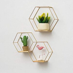 Goodilest Hexagon Floating Wood Book Shelves, Iron Storage Holder Wall-Mounted Multifunctional Nordic Style Geometric Firm Hexagonal Shelf for Home Bedroom Bathroom Golden M